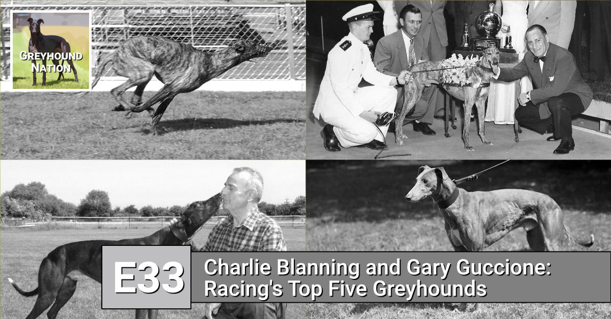 Charlie Blanning and Gary Guccione: Racing's Top Five Greyhounds ...